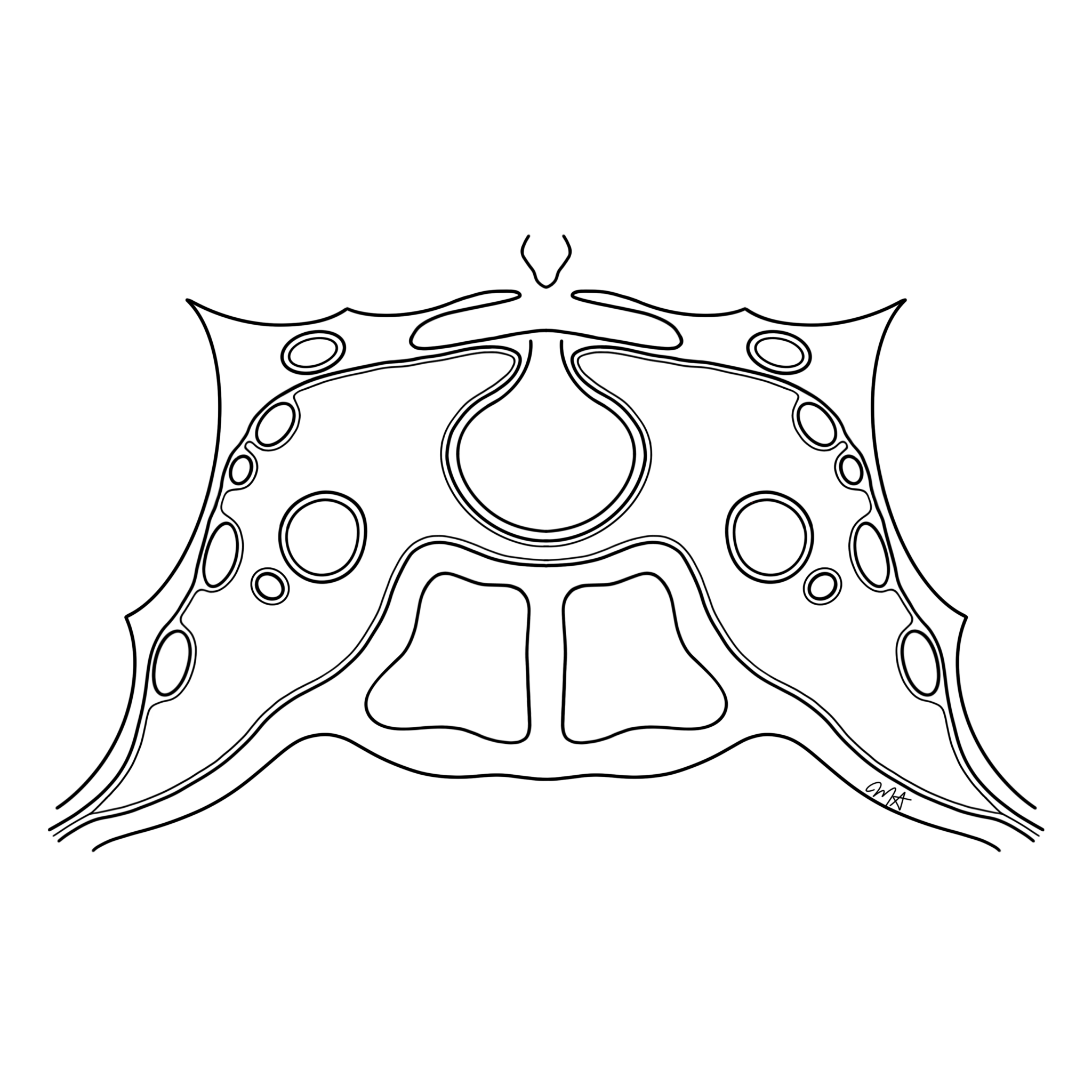 Anatomical Doodles | www.mikaelastiver.com
