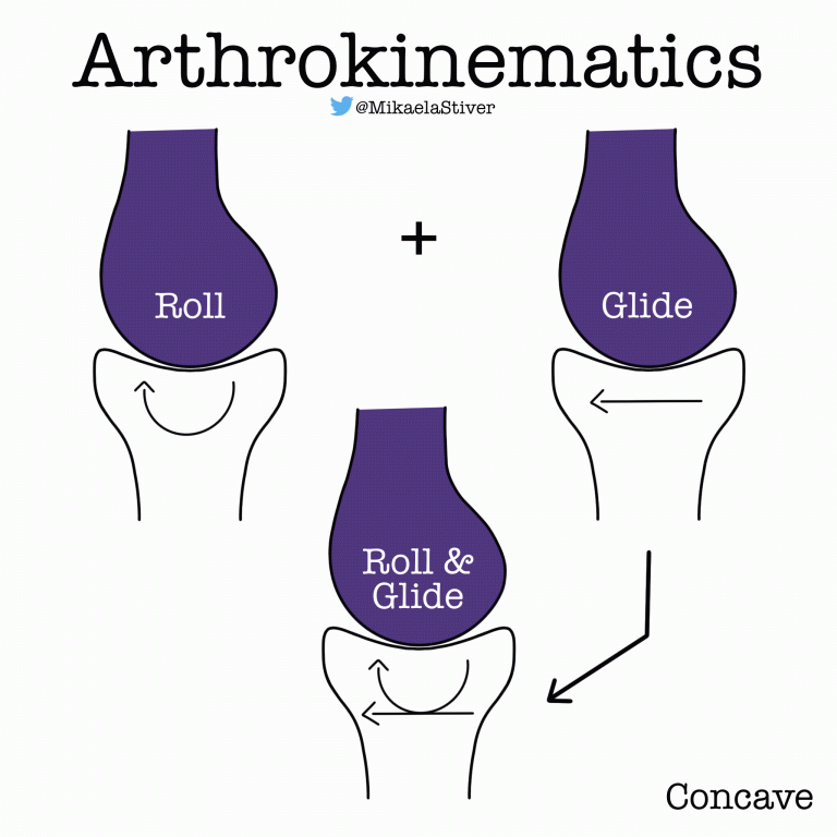 Anatomical Doodles | www.mikaelastiver.com