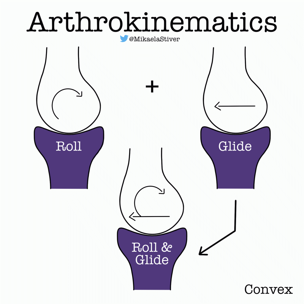 Anatomical Doodles | www.mikaelastiver.com